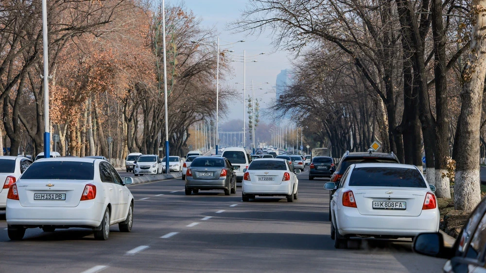 Precipitation and Fog: What Weather Awaits Uzbeks at the End of ...