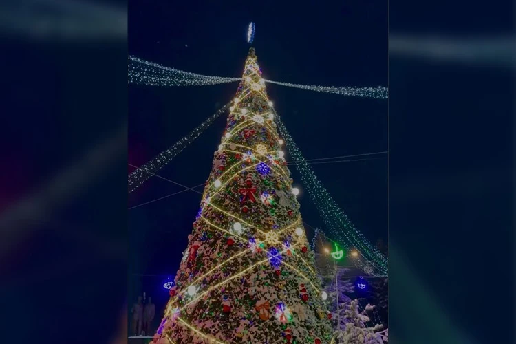 Every City Has Its Own Style. New Year Trees of Kyrgyzstan in Details ...