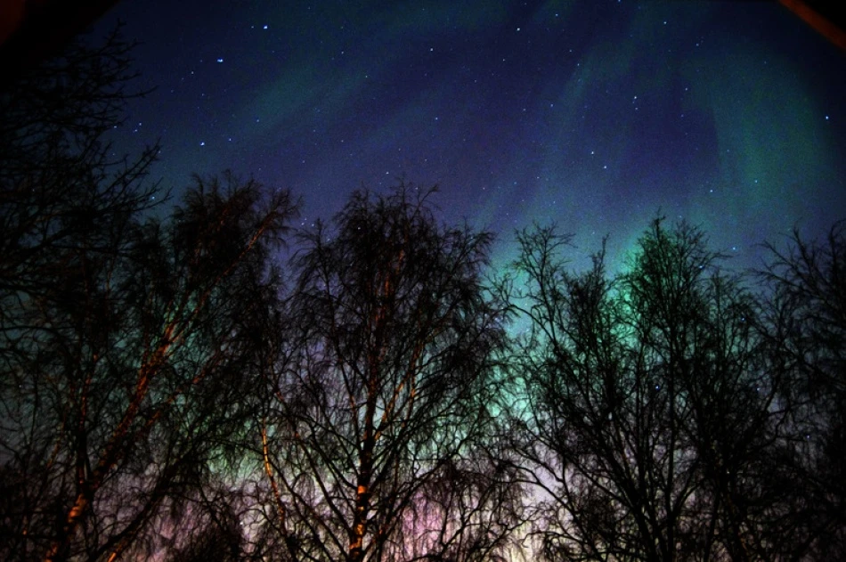 An unusual natural phenomenon was observed near St. Petersburg » News ...