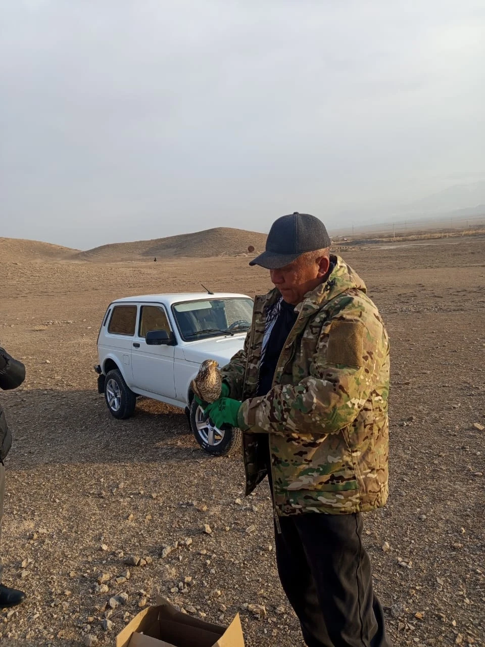 A rare predatory bird has been released into the wild in Kyrgyzstan ...